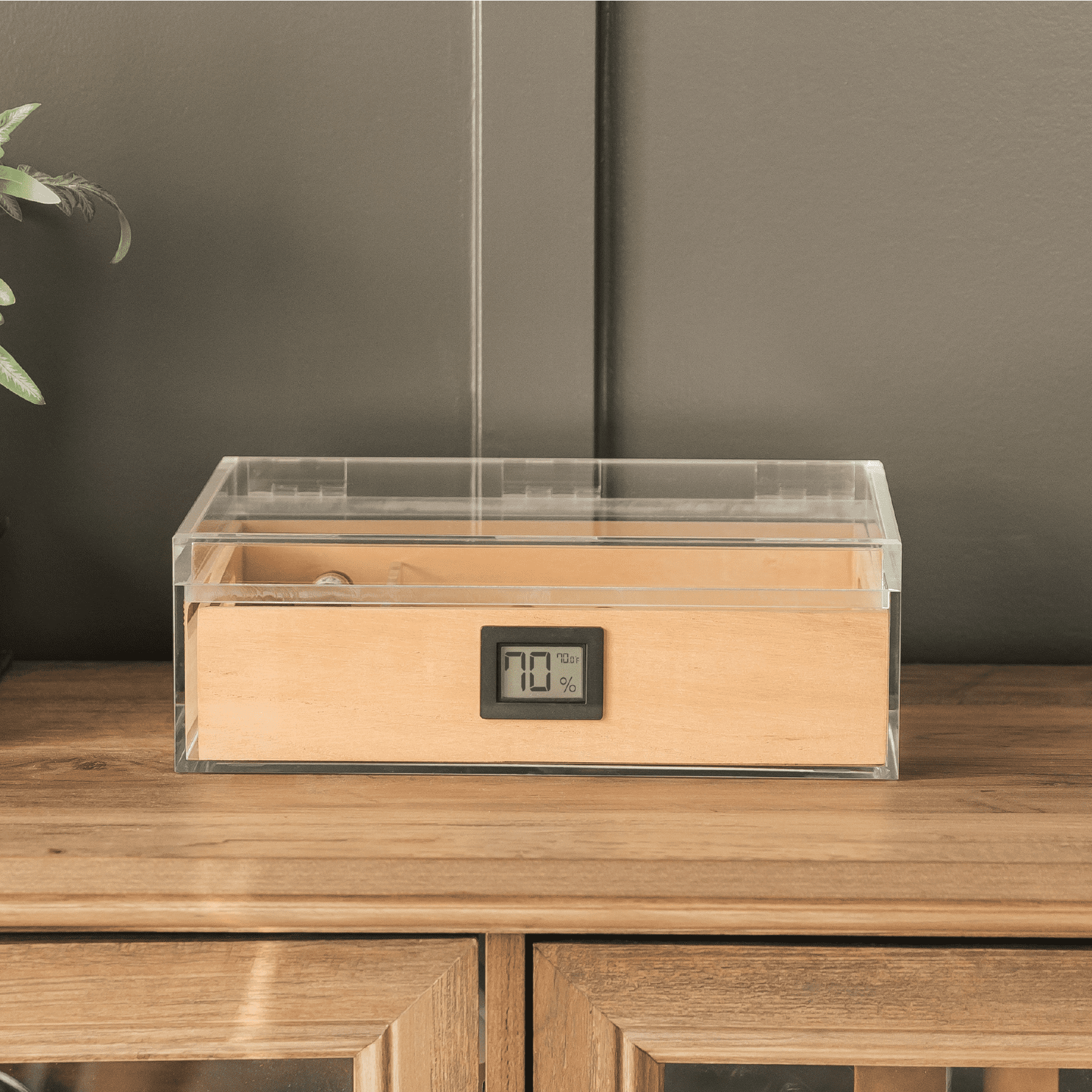 Felix Tupperdor - Acrylic Humidor – Case Elegance